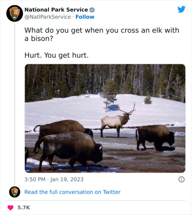 20 Hilarious Tweets From The Viral National Park Service Twitter ...