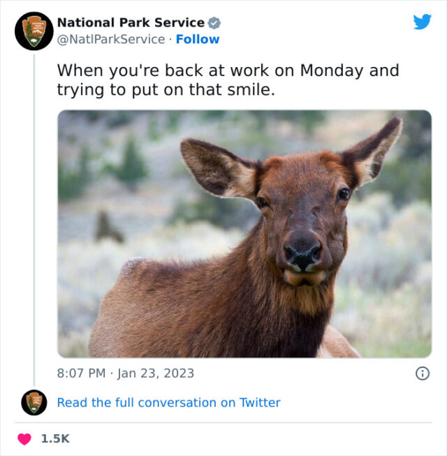 20 Hilarious Tweets From The Viral National Park Service Twitter ...