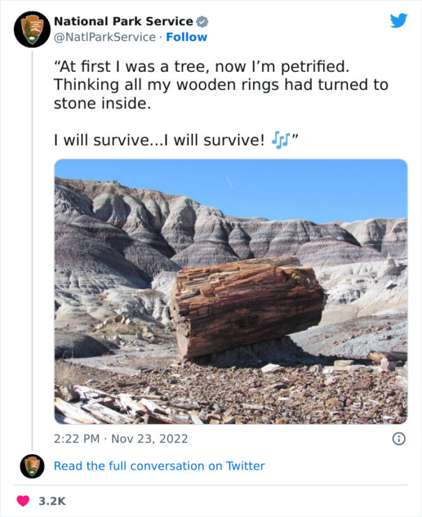 20 Hilarious Tweets From The Viral National Park Service Twitter ...