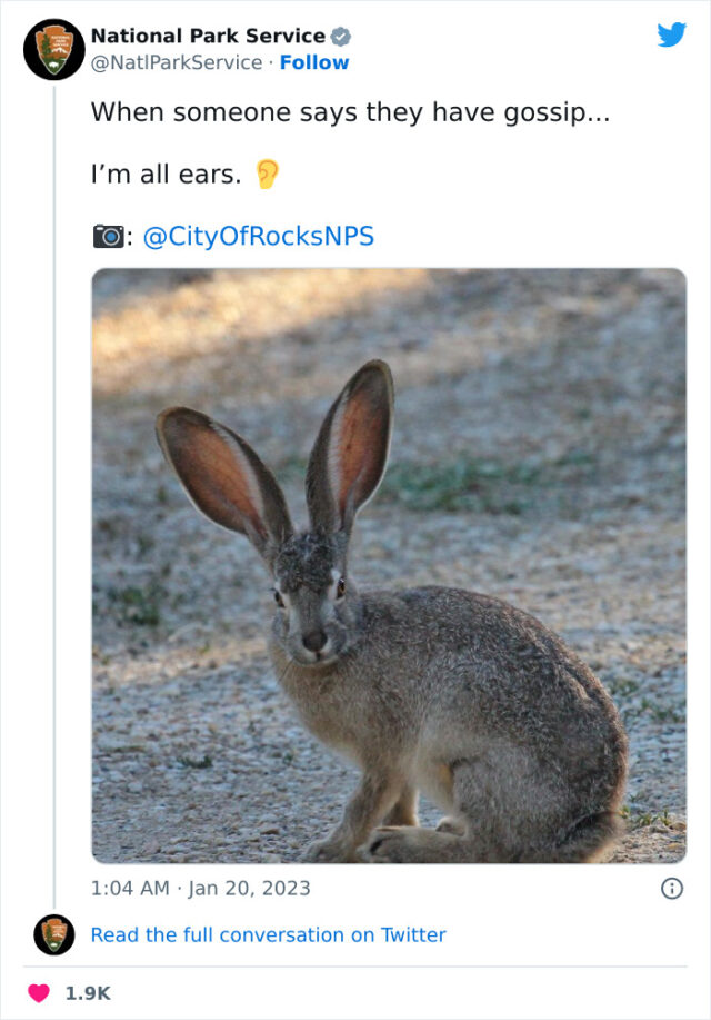 20 Hilarious Tweets From The Viral National Park Service Twitter ...