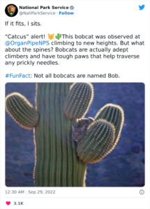 20 Hilarious Tweets From The Viral National Park Service Twitter ...