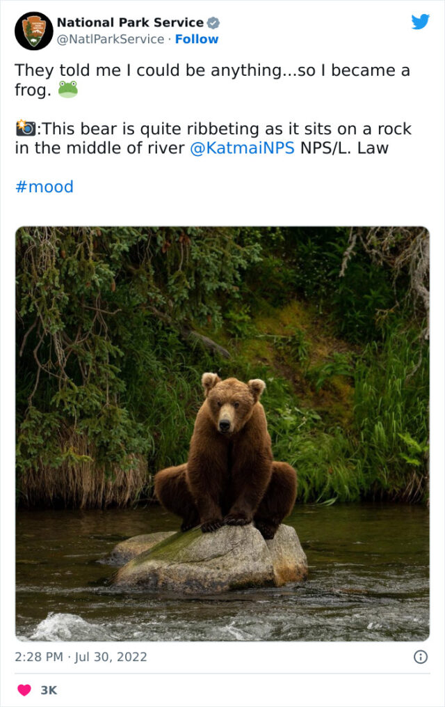 20 Hilarious Tweets From The Viral National Park Service Twitter ...