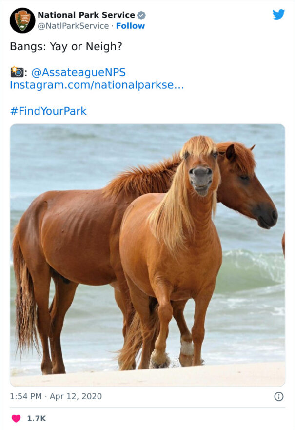 20 Hilarious Tweets From The Viral National Park Service Twitter ...