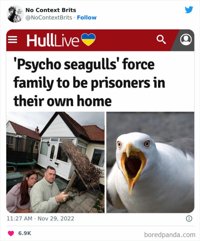 30 Out-Of-Context British Tweets That Are Absolutely Hilarious | DeMilked