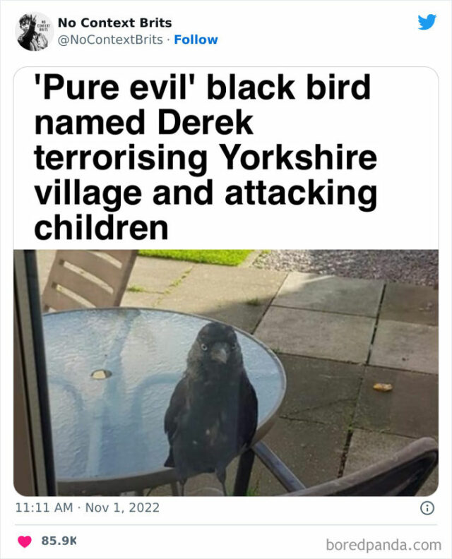 30 Out-Of-Context British Tweets That Are Absolutely Hilarious | DeMilked