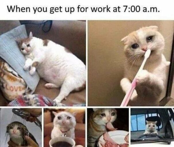 30 ‘Work Week Memes’ That Are Sadistically Amusing | DeMilked
