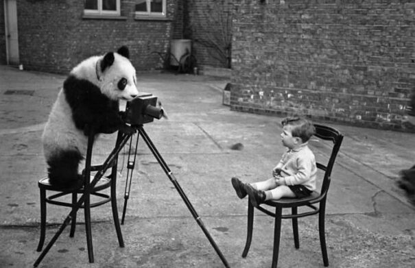 20 Photographers Who Captured The Most Wonderful Shots On The Streets ...