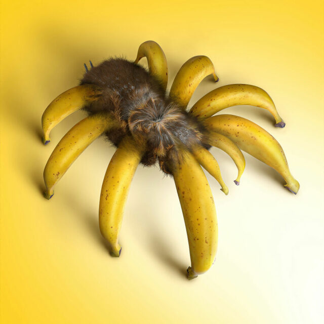 20 Times This Digital Artist Created Surreal Images By Merging Or ...
