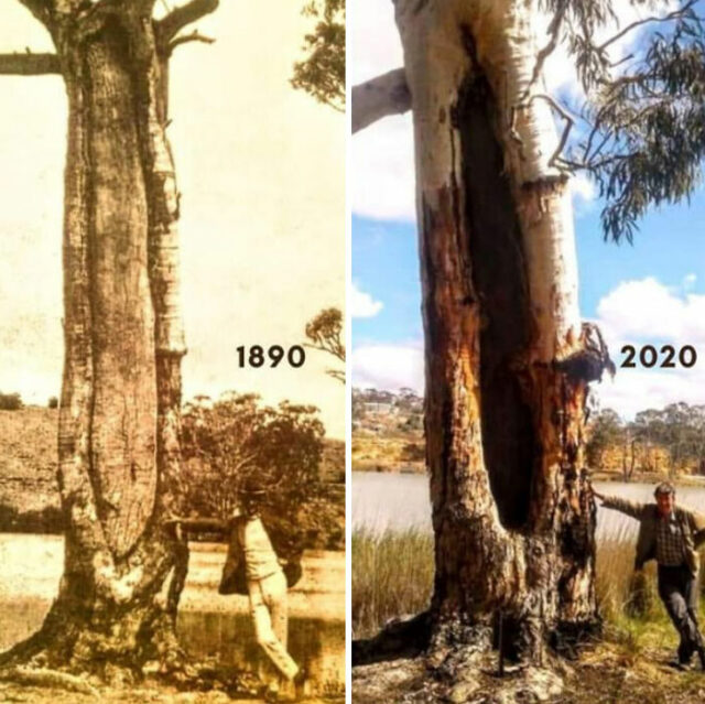20 'Then And Now' Pics Of Places Showing How Time Affects Things | DeMilked