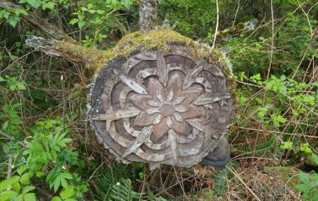 30 Times Mother Nature Surprised These People With Interesting Stuff ...