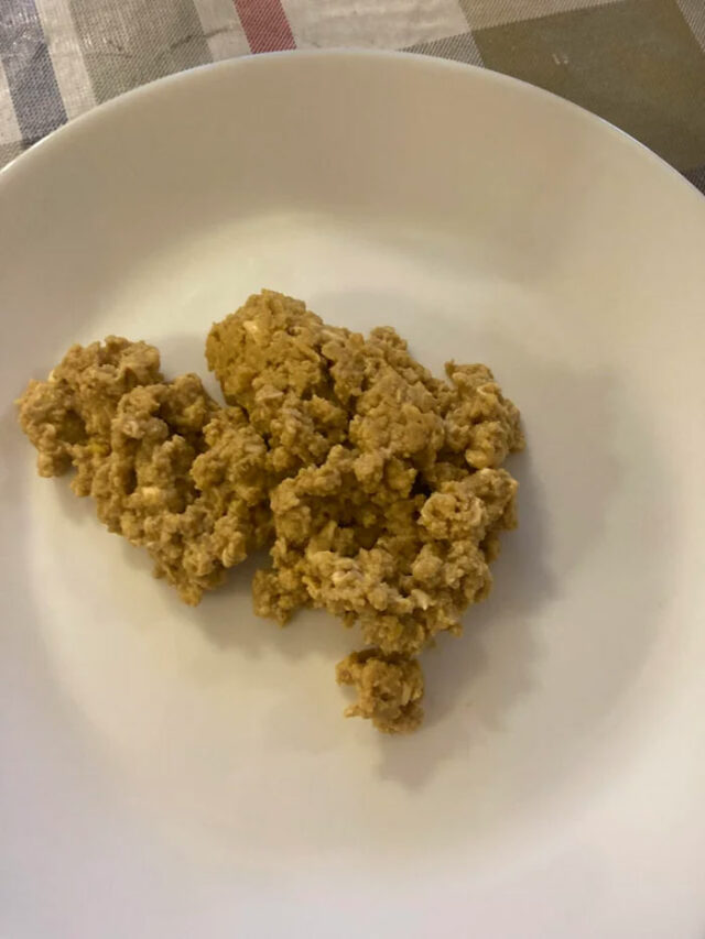 20 Times People Tried Their Hand At Cooking And Failed Miserably | DeMilked