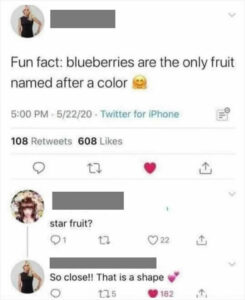 20 Of The Funniest Tweets From A Twitter Account Dedicated To Showing ...