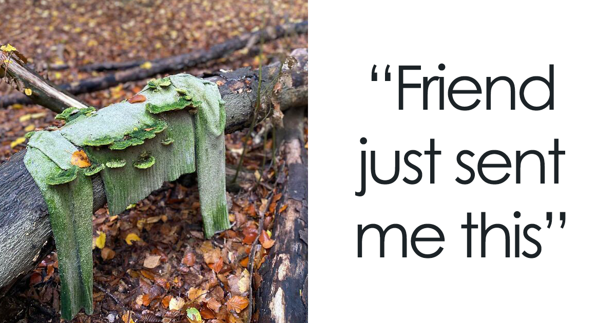 30 Times Mother Nature Surprised These People With Interesting Stuff ...