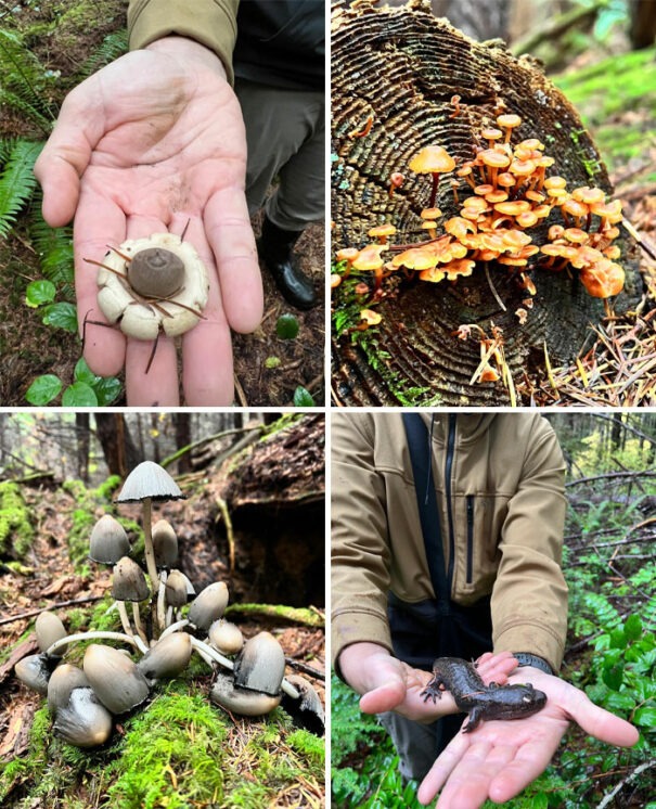 30 Times Mother Nature Surprised These People With Interesting Stuff ...