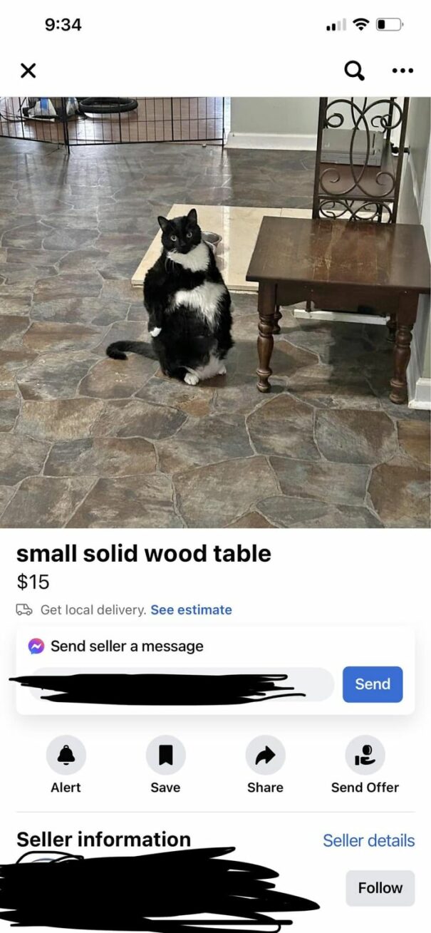 20 People Who Tried To Sell Their Trash On Facebook Marketplace | DeMilked