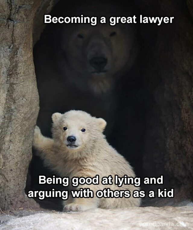 20 Funny Posts And Memes About Legal Realities | DeMilked