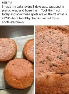 20 Pics Of The Most Disastrous And Disgusting Potluck Dishes | DeMilked