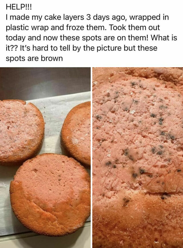 20 Pics Of The Most Disastrous And Disgusting Potluck Dishes | DeMilked