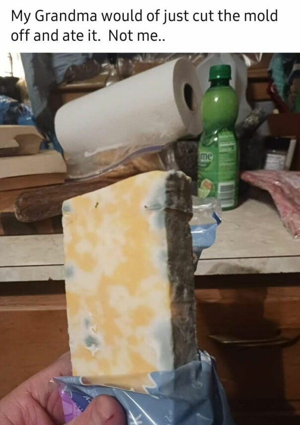 20 Pics Of The Most Disastrous And Disgusting Potluck Dishes | DeMilked