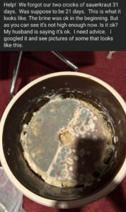 20 Pics Of The Most Disastrous And Disgusting Potluck Dishes | DeMilked