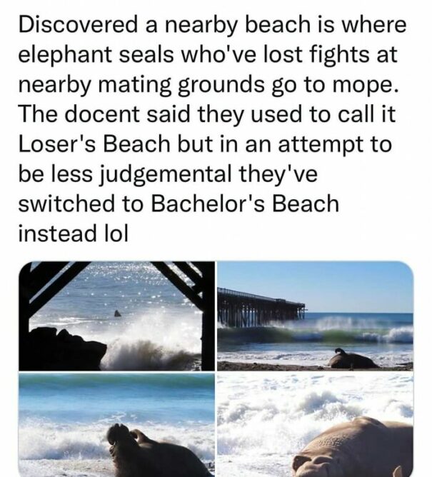 20 Funny "Screenshots With Or Without Context" Shared On This Facebook Page | DeMilked