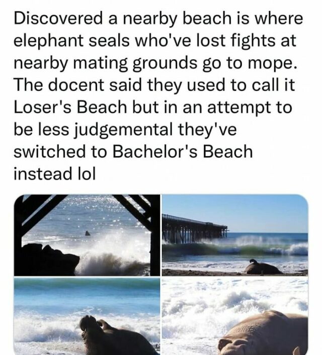 20 Funny "Screenshots With Or Without Context" Shared On This Facebook ...