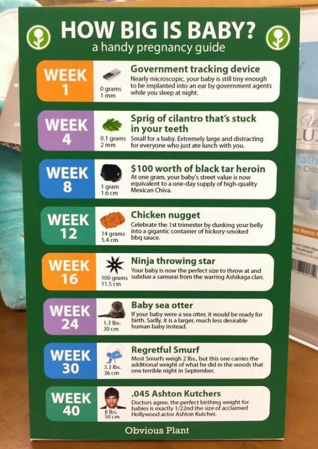 30 Modern, Funny And Entertaining ‘Cool Guides’ Spotted In Public ...