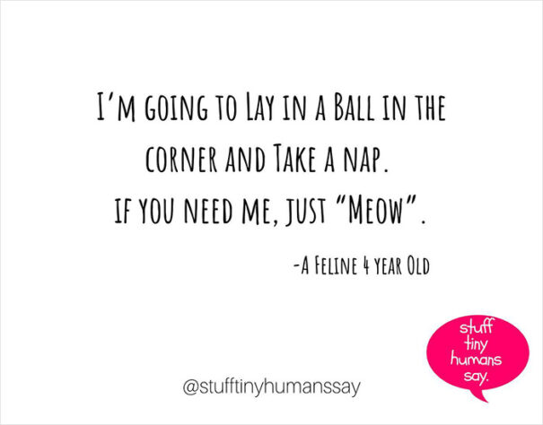 20 Times The Instagram Page Shared “Stuff Tiny Humans Say” And They ...