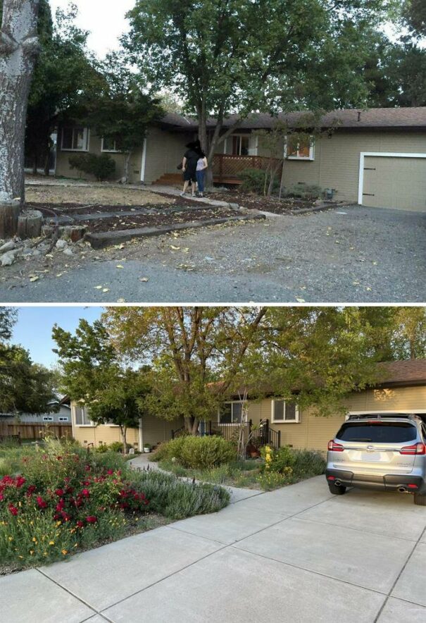 20 Creative Landscaping Ideas To Transform Your Outdoor Space | DeMilked