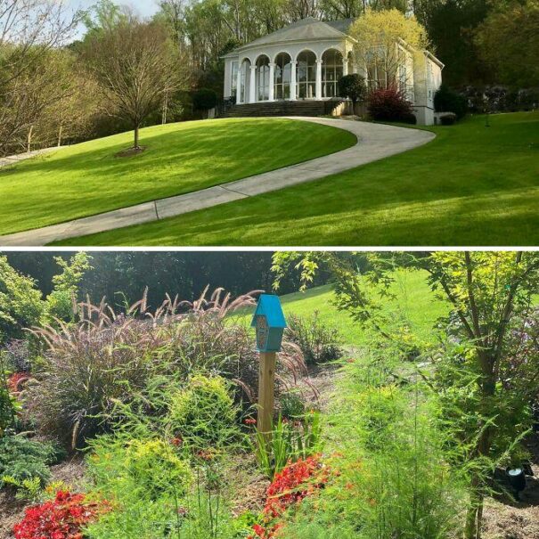 20 Creative Landscaping Ideas To Transform Your Outdoor Space | DeMilked