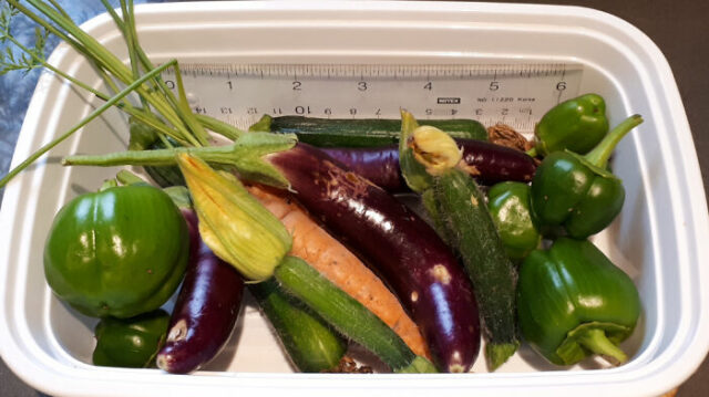 20 Funny Posts From People Trying To Grow Their Own Food | DeMilked
