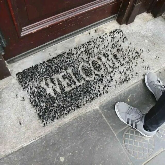 20 Innovative Designs Shared By The “Design Therapy” Instagram Account ...