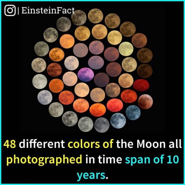 20 Little-Known Facts About Random Things Shared By This Instagram Page ...