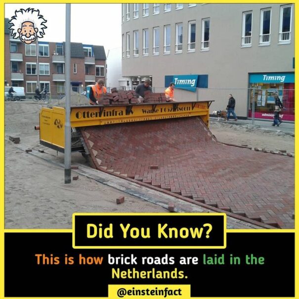 20 Little-Known Facts About Random Things Shared By This Instagram Page ...