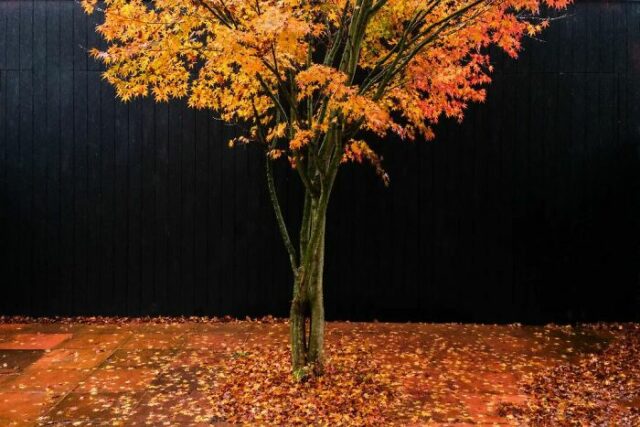 20 Brilliant Photos By Jeffrey De Keyser That Might Give You An ...