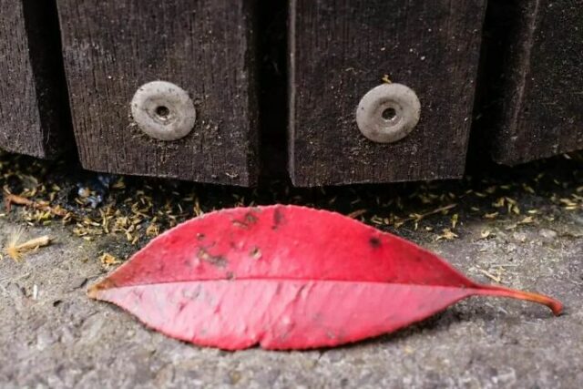 20 Brilliant Photos By Jeffrey De Keyser That Might Give You An ...