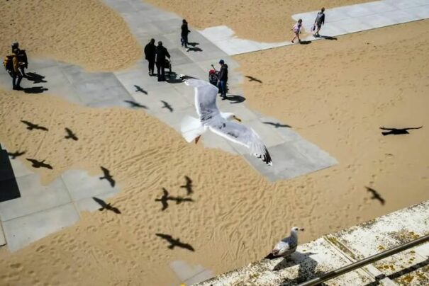 20 Brilliant Photos By Jeffrey De Keyser That Might Give You An ...