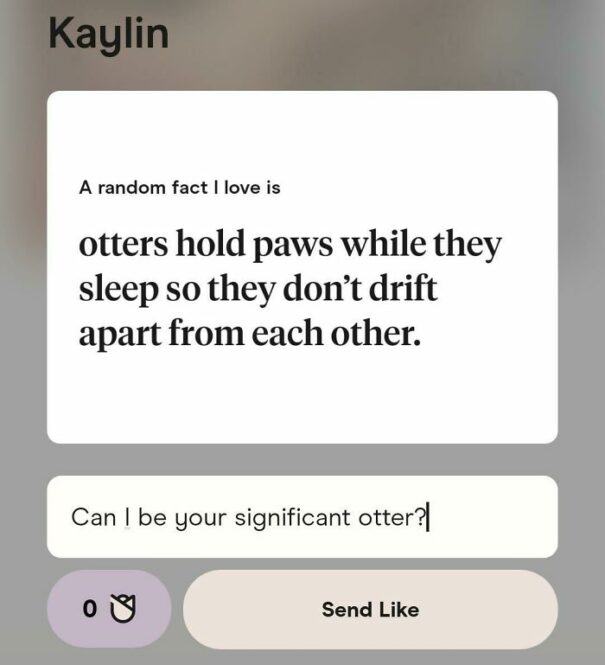 20 Of The Wildest Screenshots From The Online Dating App Hinge Demilked