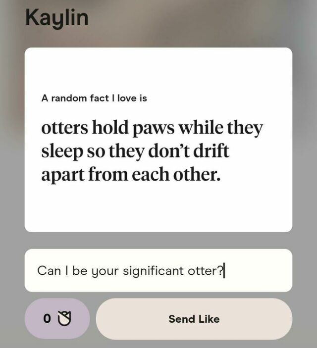 20 Of The Wildest Screenshots From The Online Dating App Hinge | DeMilked