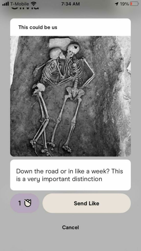 20 Of The Wildest Screenshots From The Online Dating App Hinge | DeMilked