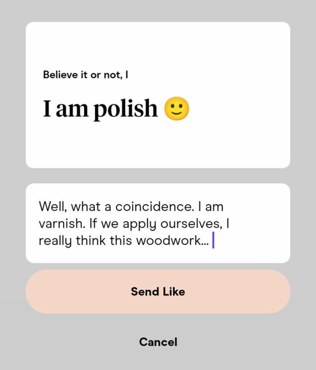 20 Of The Wildest Screenshots From The Online Dating App Hinge | DeMilked