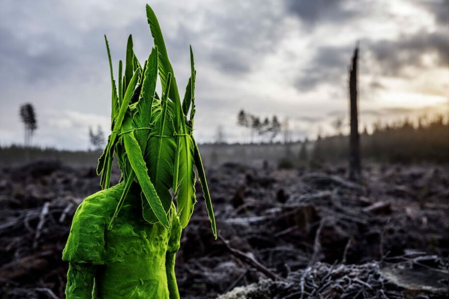 15 Mystical And Otherworldly Sculptures Of 'Moss People' Created By Kim ...