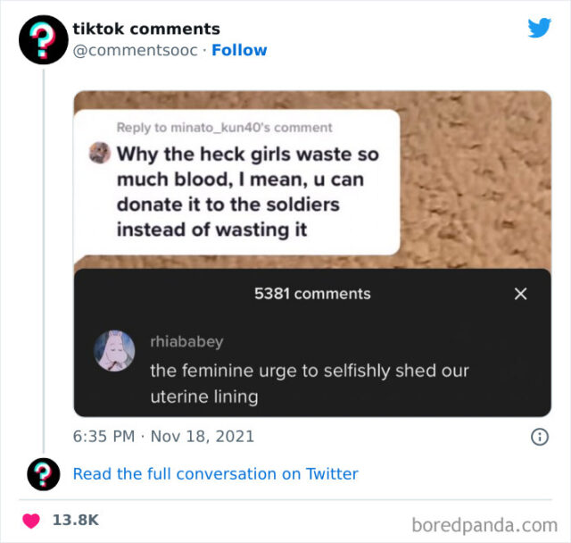 30 Of The Funniest & Most Unhinged TikTok Comments Shared By A Dedicated Twitter Page | DeMilked