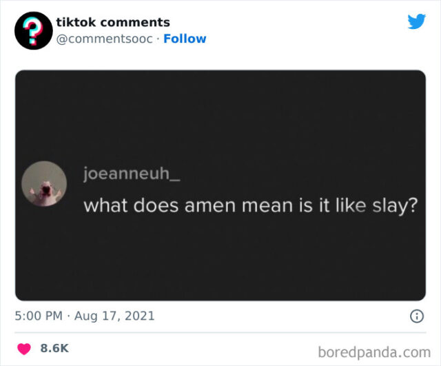 30 Of The Funniest & Most Unhinged TikTok Comments Shared By A ...