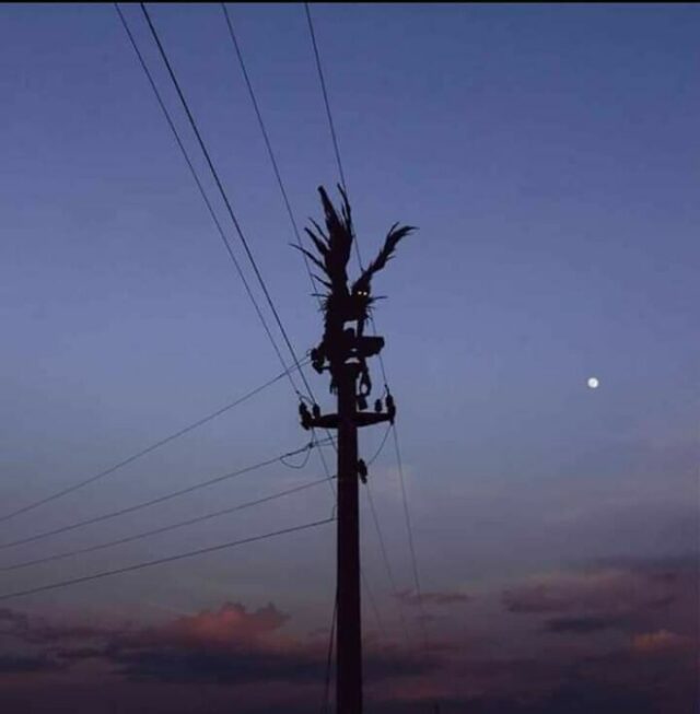 30 Cursed "No Context" Pics That Might Make You Question Things | DeMilked