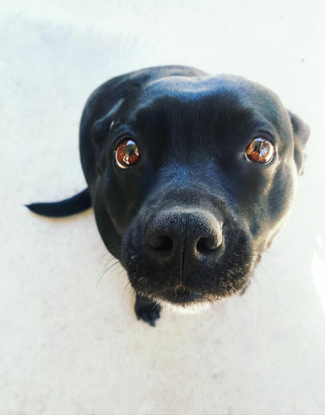 30 Times People Spotted Animals Flashing Innocent And Adorable “Disney ...