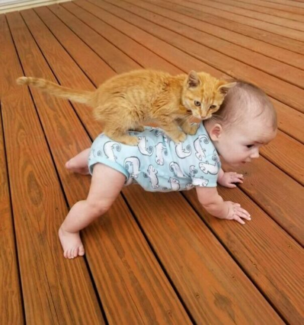 20 Pics Showing Beautiful Relationship Between Cats And Babies | DeMilked