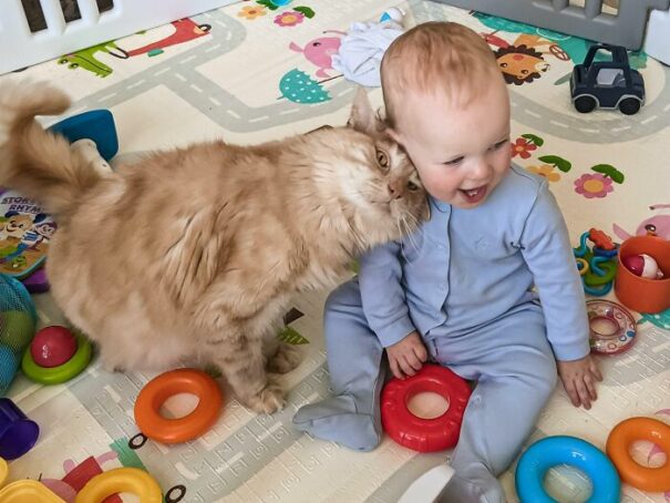 20 Pics Showing Beautiful Relationship Between Cats And Babies | DeMilked