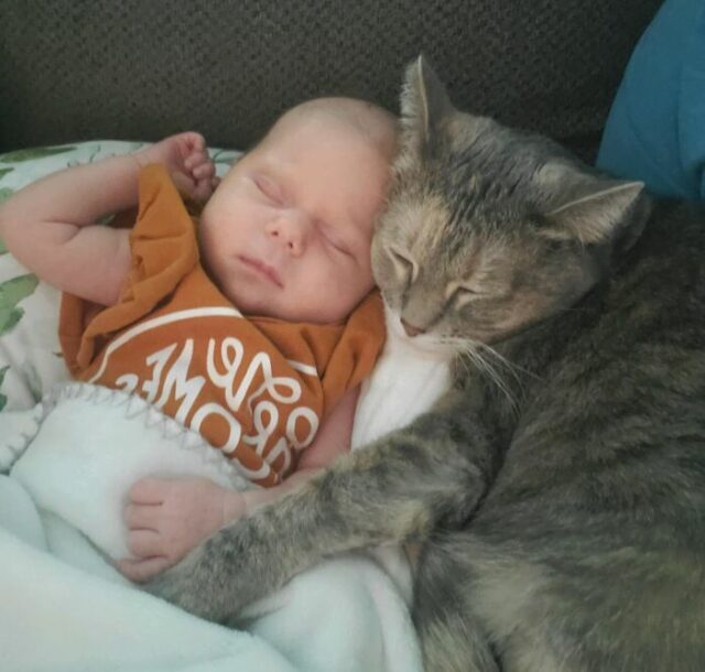 20 Pics Showing Beautiful Relationship Between Cats And Babies | DeMilked