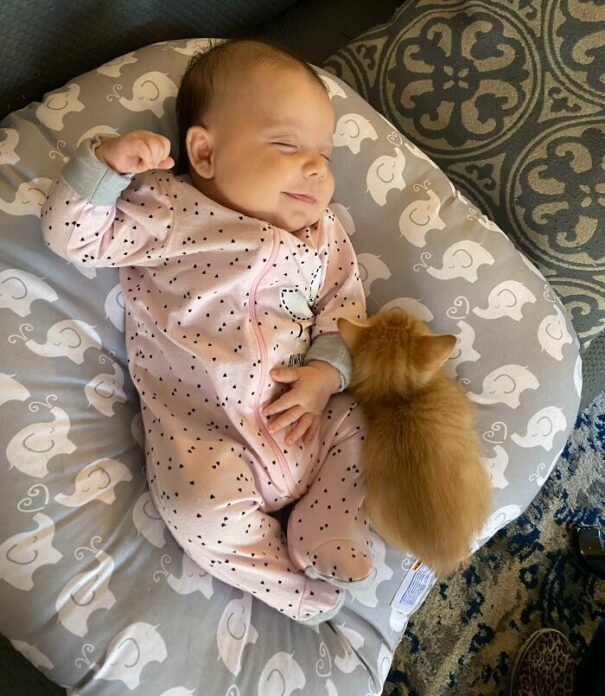 20 Pics Showing Beautiful Relationship Between Cats And Babies | DeMilked